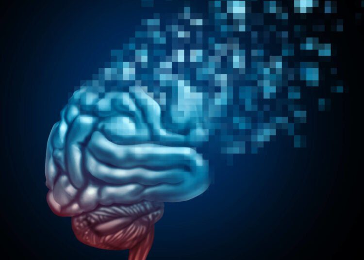 Nectome möchte Ihr Gehirn erhalten (und digitalisieren) Nahe Zukunft