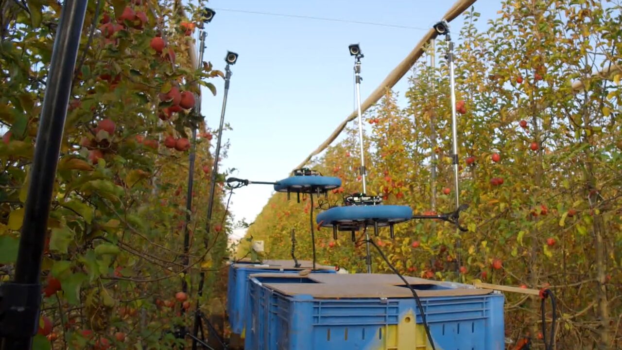The autonomous drone for picking fruit thanks to AI - Futuro Prossimo
