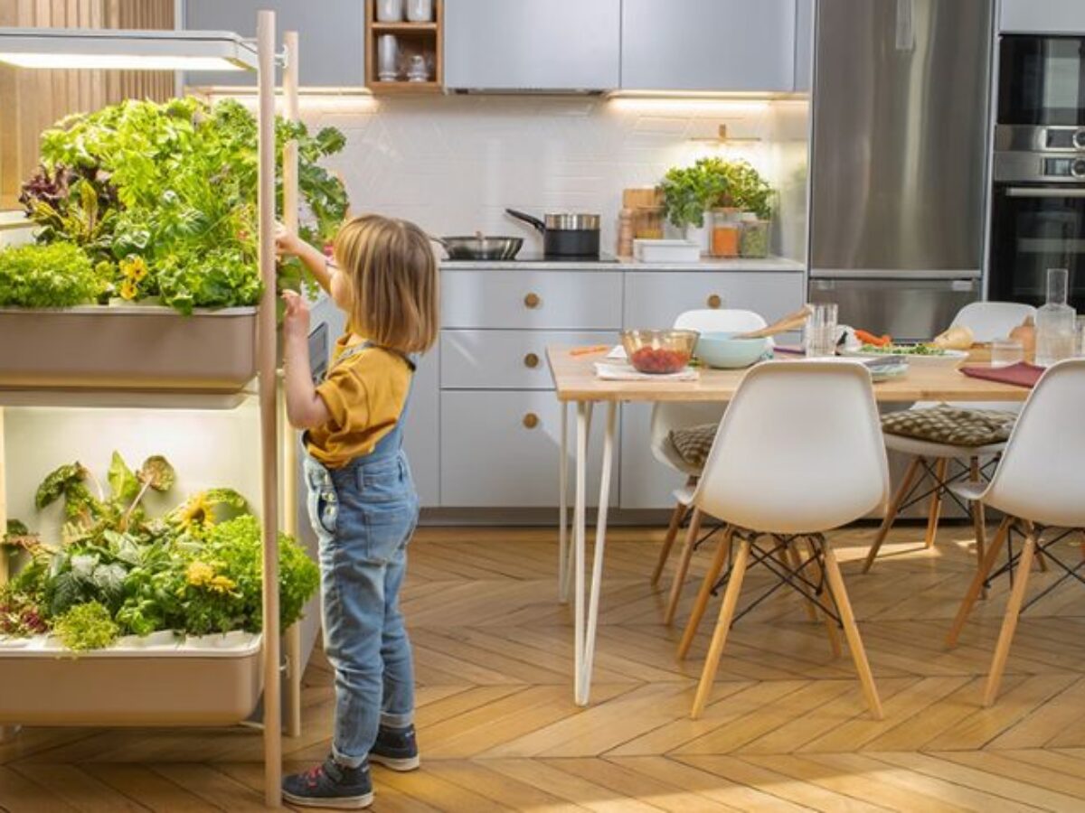 Indoor Vegetable Garden Kitchen