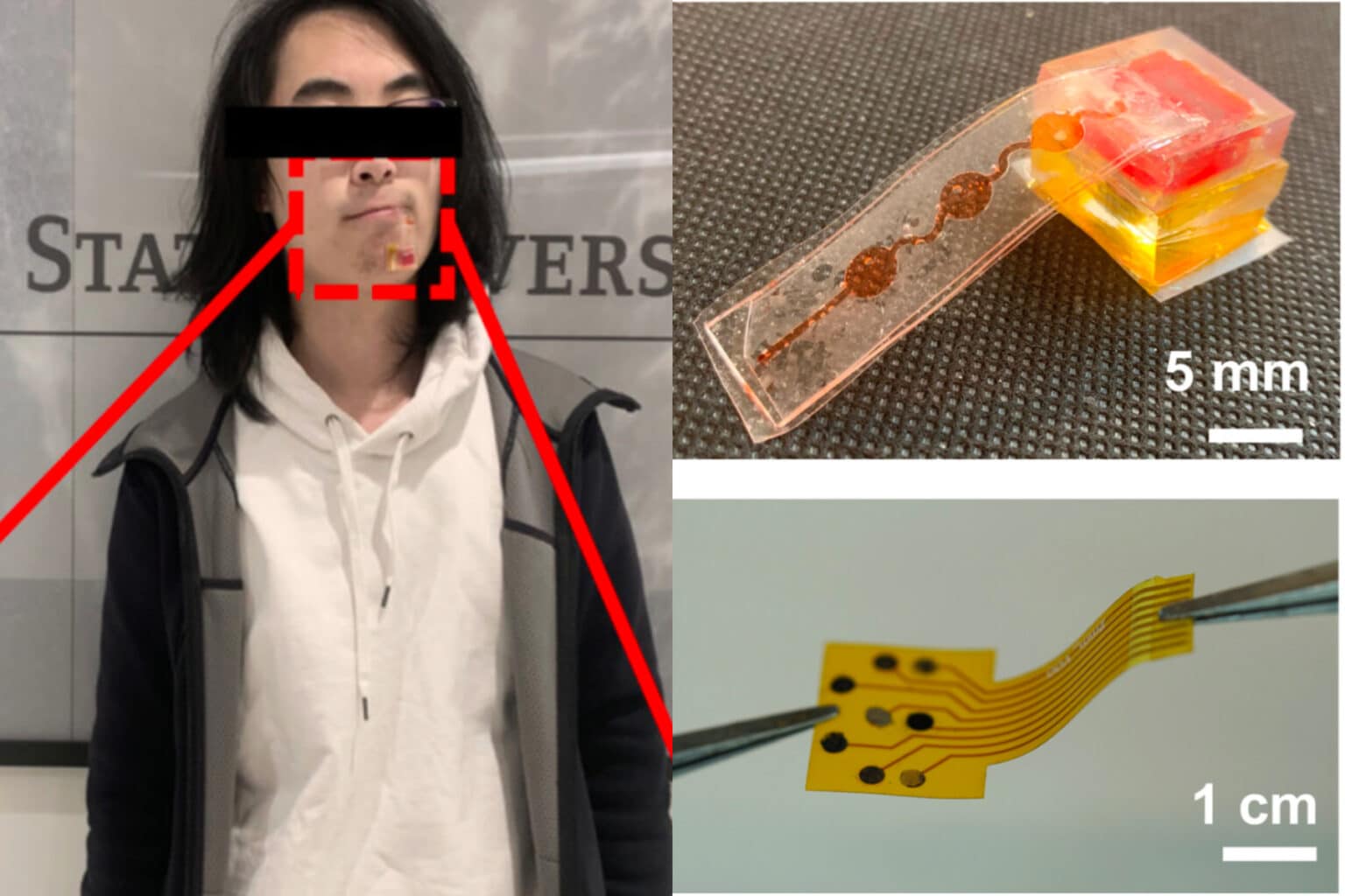 From Tongue to Cloud and Back: The Dawn of Digital Taste Has Arrived ...